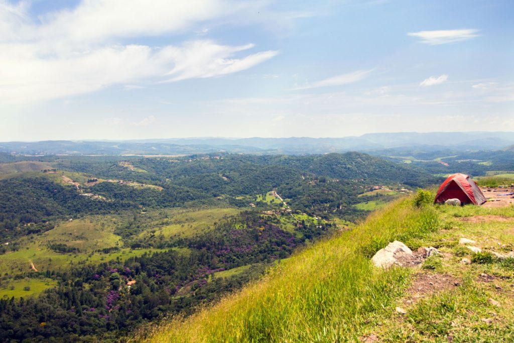 O que fazer em São Roque: Melhores Passeios na Rota do Vinho 2024